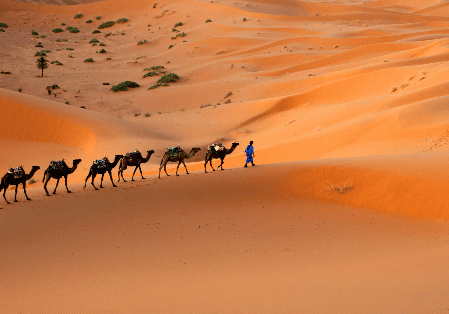 Morocco Vs. Egypt Travel Guide (2023) - Early Traveler